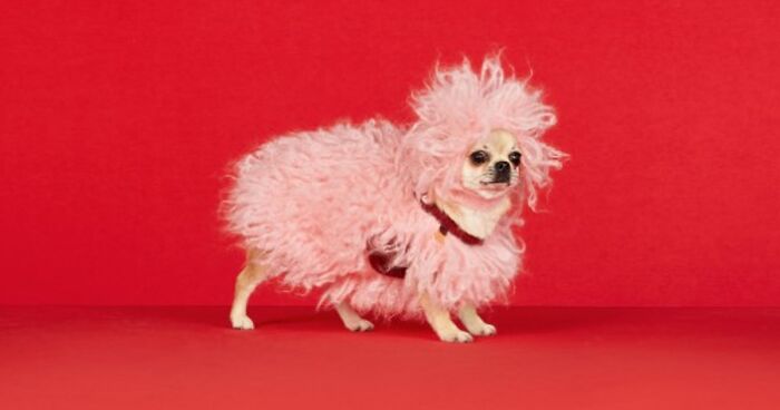 Gucci Released A Fancy Clothing And Accessories Line, And It’s Lavish ...