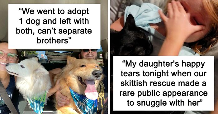 45 Wholesome Pics Of Adopted Pets That Show What Joy Giving Them A ...