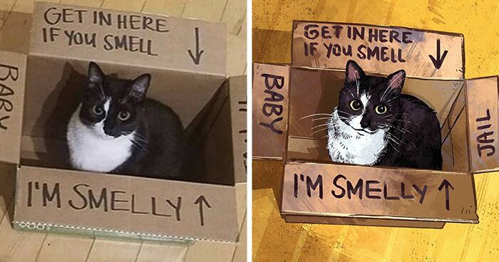 30 Of The Funniest Internet-Famous Cat Pics Get Illustrated By ...