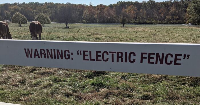 50 Hilarious Cases Of Misused Quotation Marks That Gave Hilarious ...