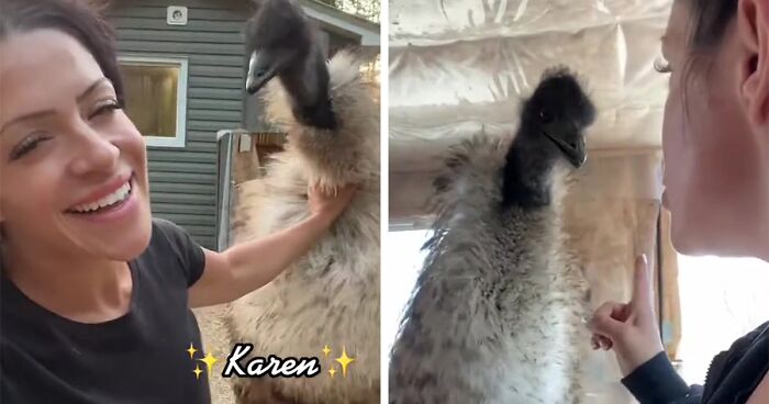 Millions Of People Can’t Get Enough Of The ‘Useless Farm’s’ Animals ...