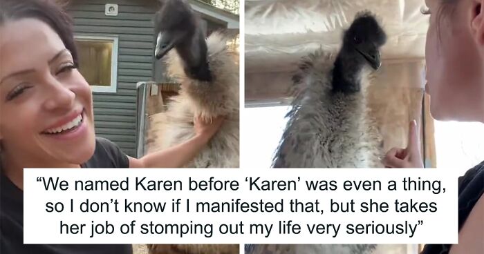 Millions Of People Can’t Get Enough Of The ‘Useless Farm’s’ Animals ...