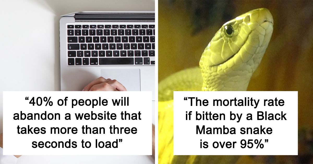 “85% Of Women Wear The Wrong Bra Size”: 50 Wild Statistics That Are As ...