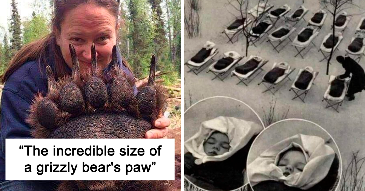 People In This Online Group Find Weird, Wonderful And Strange Things In ...