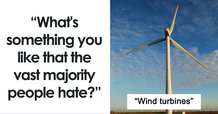 “What’s Something You Like That The Vast Majority Of People Hate?” (30 ...