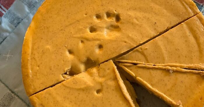 30 Horrendous Baking Fails To Make You Feel Better About Your Burned ...