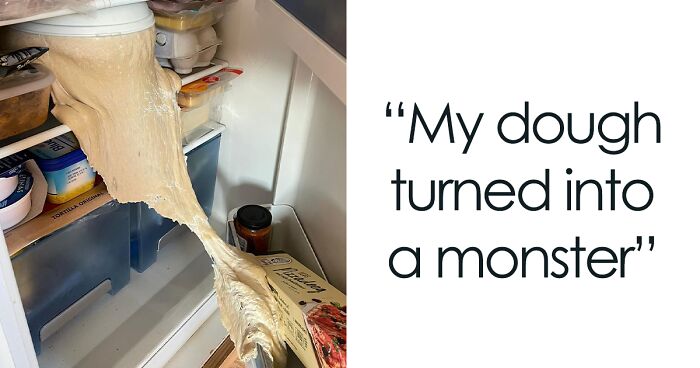 30 Horrendous Baking Fails To Make You Feel Better About Your Burned ...