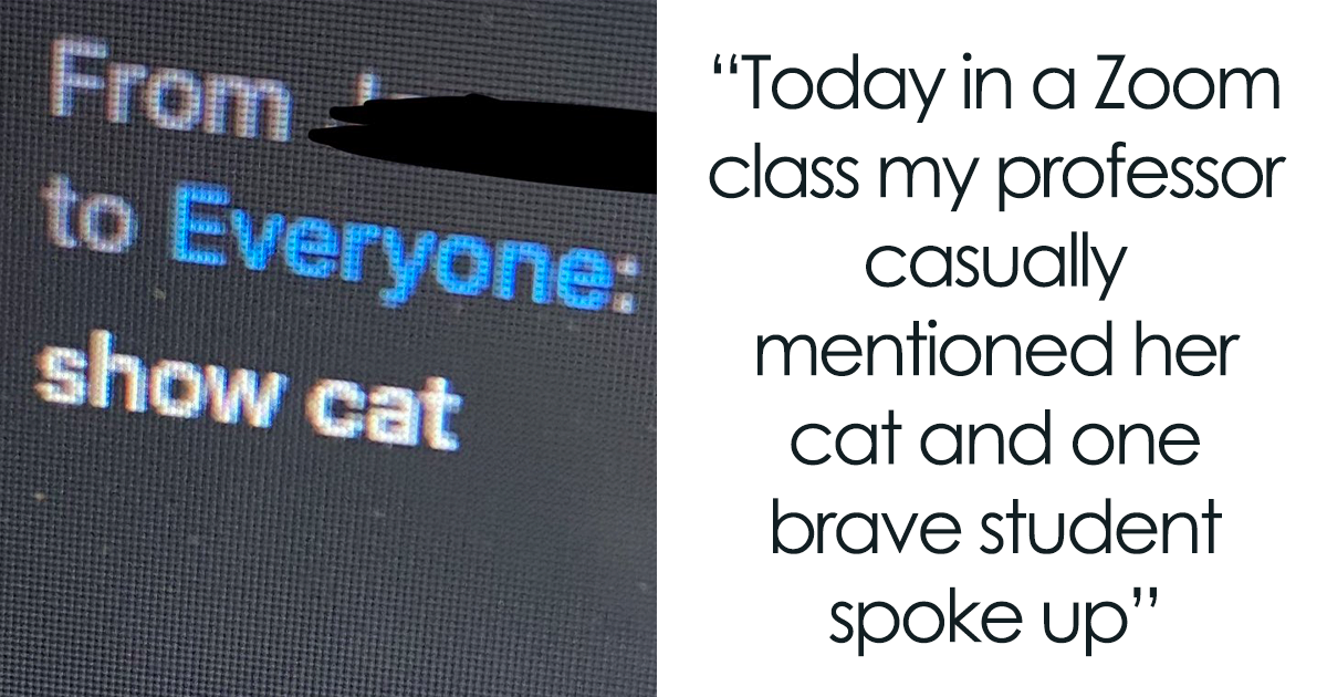 ‘Cats On Catnip’: 50 Funny And Relatable Cat Memes We Loved A Lot ...