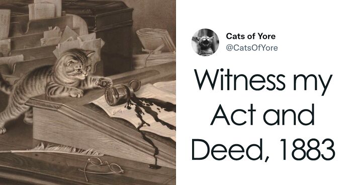 Cats Ruining Stuff Isn’t Only A Modern Struggle As It Is Shown In These ...