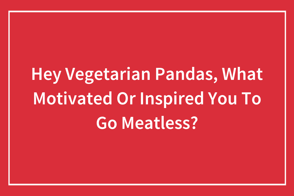Hey Vegetarian Pandas, What Motivated Or Inspired You To Go Meatless ...