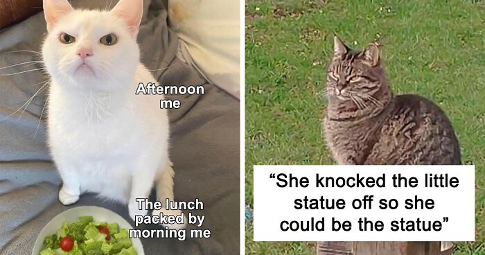 50 Perfectly Accurate Pics And Memes That Capture What It’s Like Living ...