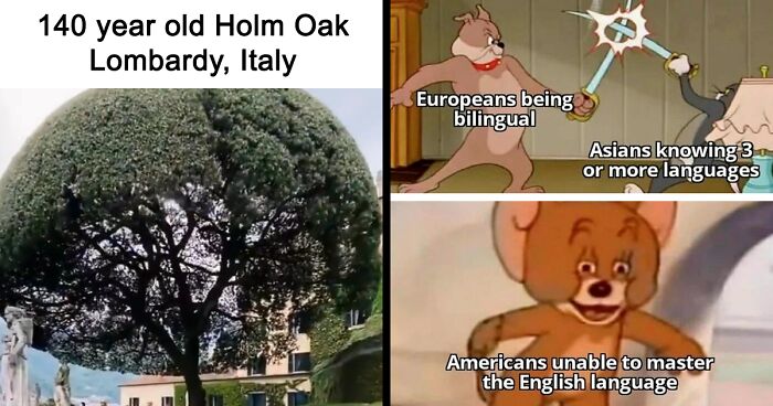 50 Of The Funniest And Most Accurate History Memes Shared By This ...