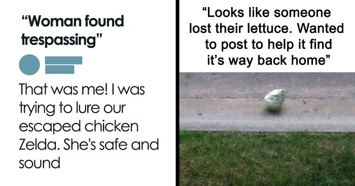 “You Live Next To Us And We Don’t Like You”: 30 Times People Had Funny ...