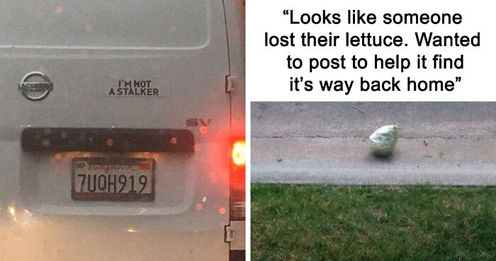 “You Live Next To Us And We Don’t Like You”: 30 Times People Had Funny ...