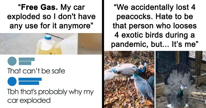 “You Live Next To Us And We Don’t Like You”: 30 Times People Had Funny, Weird Or Crazy Neighbors ...