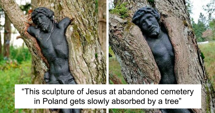 40 Times People Saw Trees ‘Devouring’ Random Objects And Just Had To ...