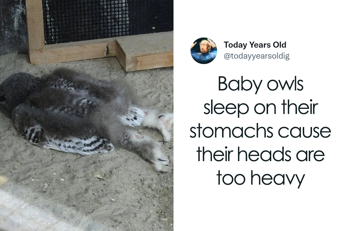 The ‘Today Years Old’ Social Media Project Shares Cool Facts, And Here Are 50 Of The Very Best ...