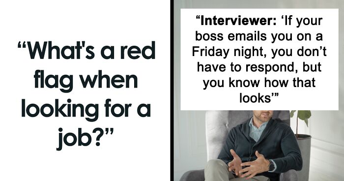 30 People Share Things In Job Descriptions Or Interviews That Instantly ...