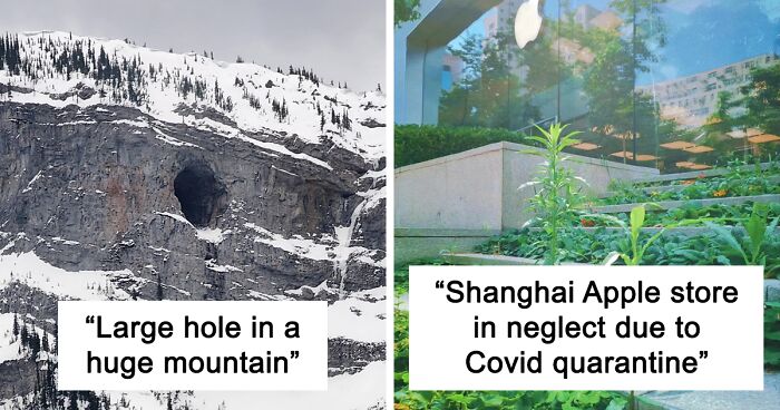 40 ‘Mildly Interesting’ Things Spotted In Nature That Are Actually Surprising (New Pics) | Bored ...