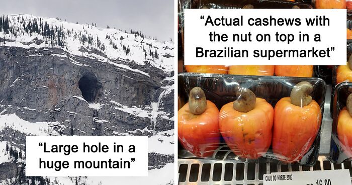 40 ‘Mildly Interesting’ Things Spotted In Nature That Are Actually Surprising (New Pics) | Bored ...