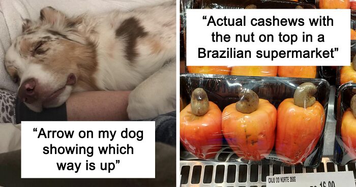 40 ‘Mildly Interesting’ Things Spotted In Nature That Are Actually ...