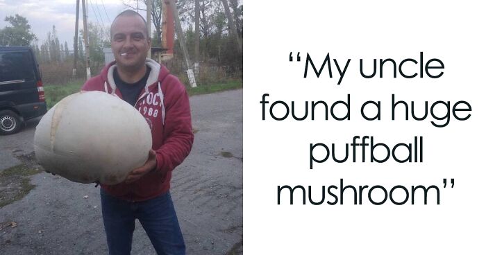 40 ‘Mildly Interesting’ Things Spotted In Nature That Are Actually ...