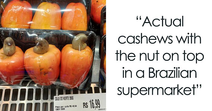 40 ‘Mildly Interesting’ Things Spotted In Nature That Are Actually Surprising (New Pics) | Bored ...