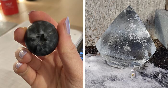 40 ‘Mildly Interesting’ Things Spotted In Nature That Are Actually Surprising (New Pics) | Bored ...