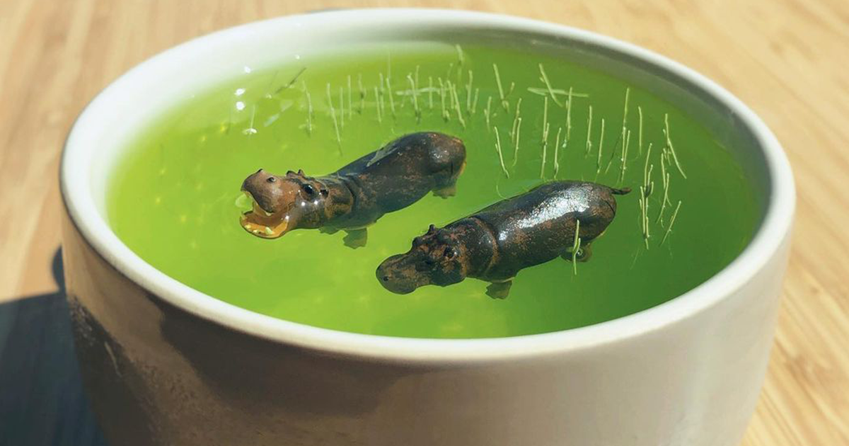 I Photograph Miniature Scenes That Reflect My Thoughts And Life Stories ...