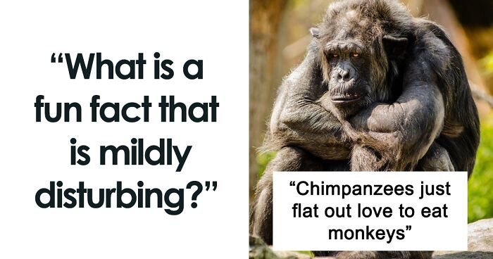 Someone Asked “What Is A Fun Fact That Is Mildly Disturbing?” And 35 ...