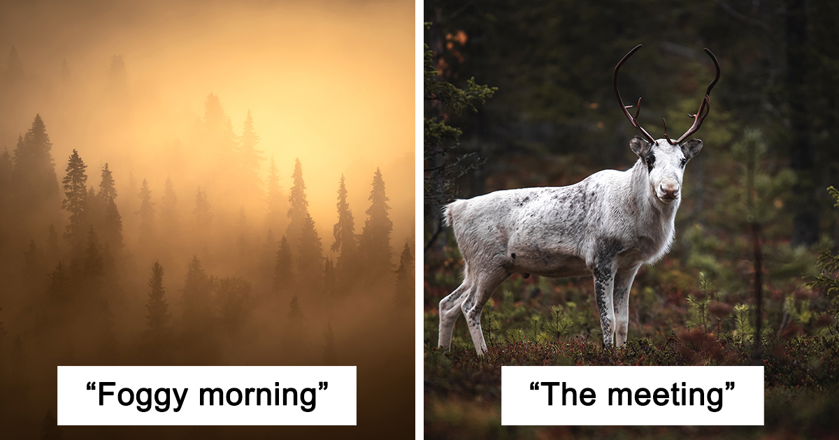 23 Pictures Of Finland’s Breathtaking Nature That I Took | Bored Panda