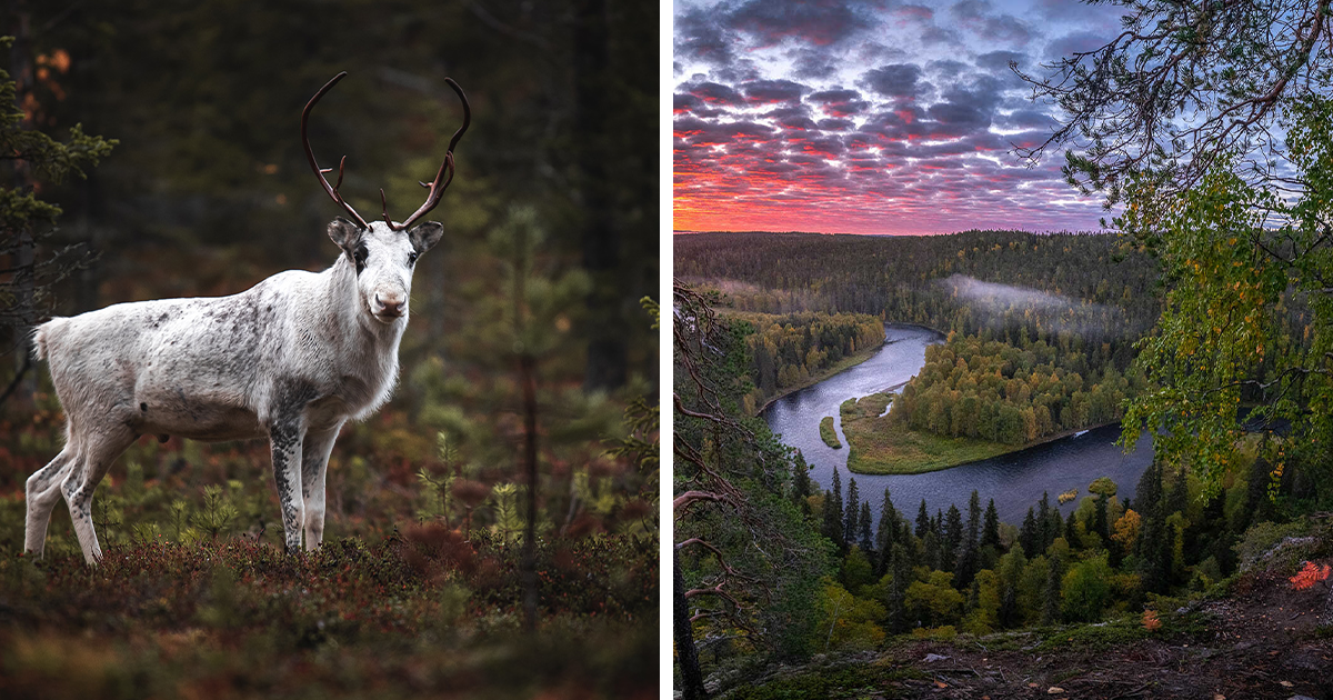 I Captured Finland’s Extraordinary Wilderness (23 Pics) | Bored Panda