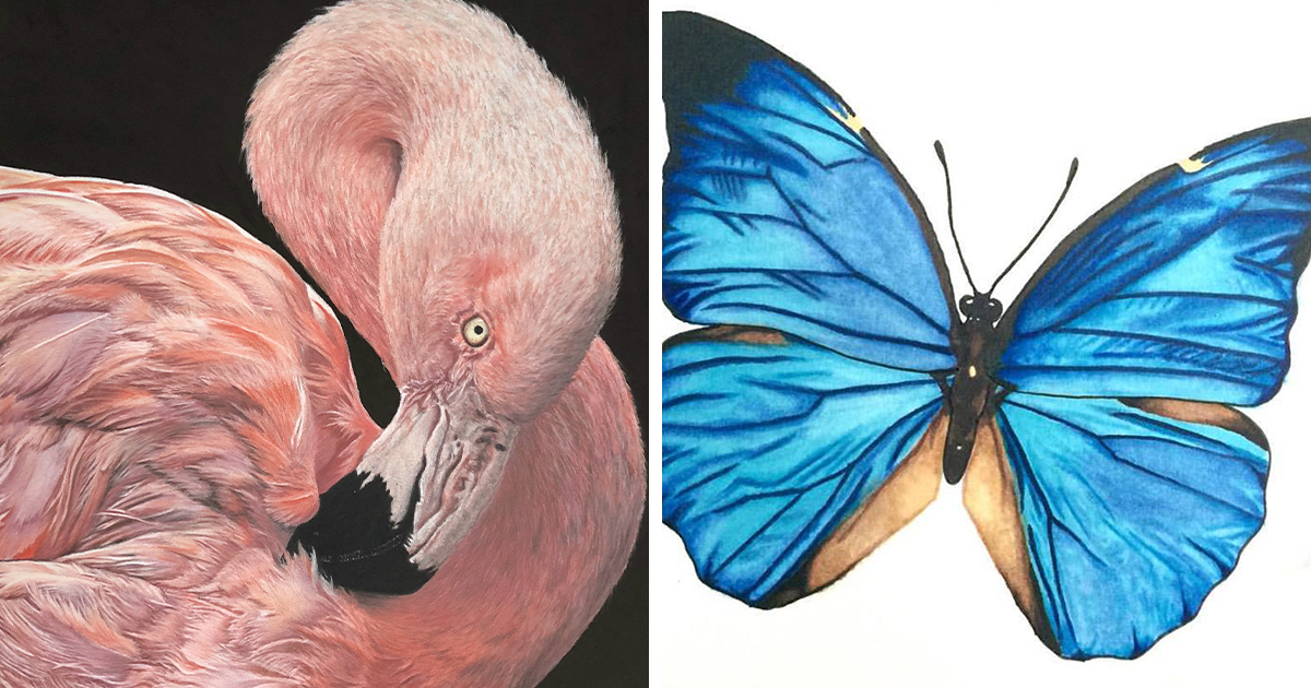 I Create Hyperrealistic Pencil Drawings Of Animals, Here Are 19 Of Them ...