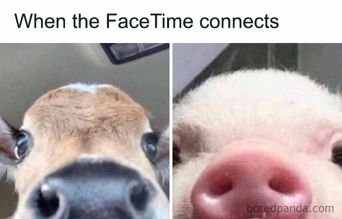 50 Of The Best Memes Of All Time That Are Icons Of Internet Culture