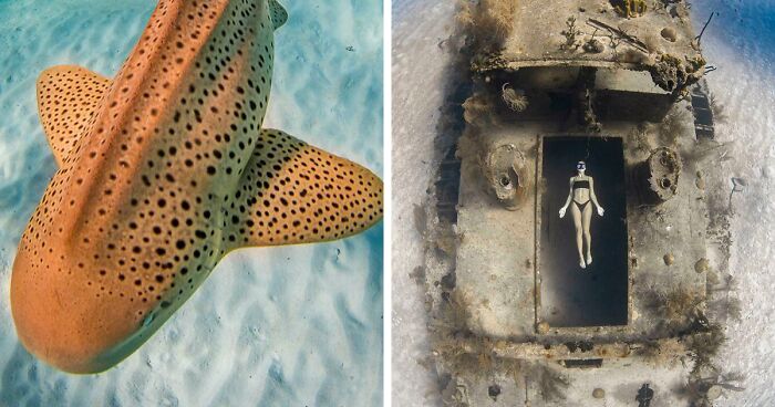 People Online Share 30 Incredible Photos That Were Taken Underneath The ...