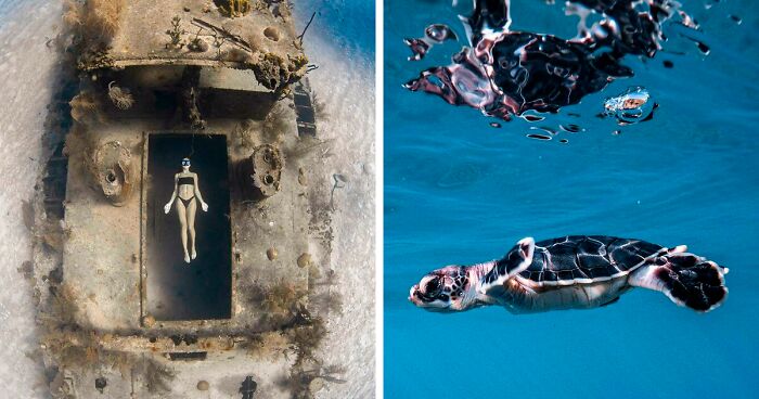 People Online Share 30 Incredible Photos That Were Taken Underneath The ...