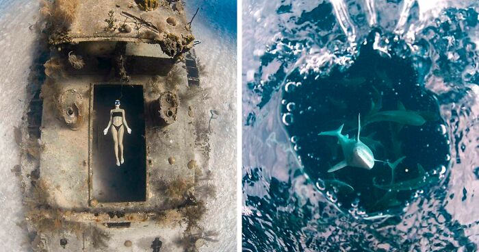 People Online Share 30 Incredible Photos That Were Taken Underneath The ...