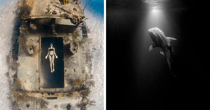 People Online Share 30 Incredible Photos That Were Taken Underneath The ...