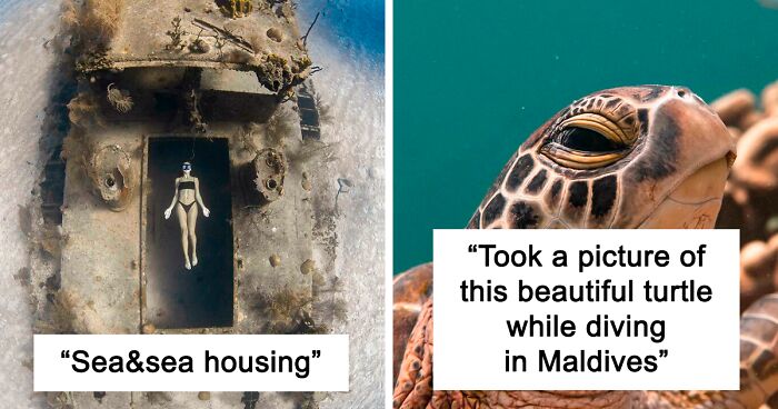 People Online Share 30 Incredible Photos That Were Taken Underneath The ...