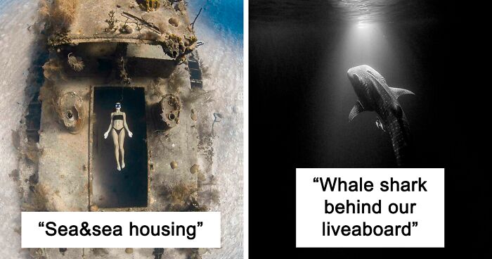 People Online Share 30 Incredible Photos That Were Taken Underneath The ...