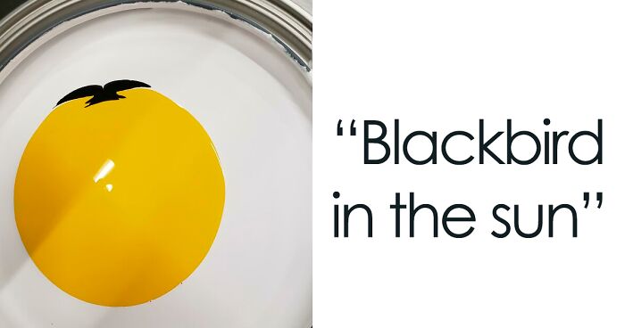 This Dedicated Online Group Shares Photos Of “Unstirred Paint”, Here ...