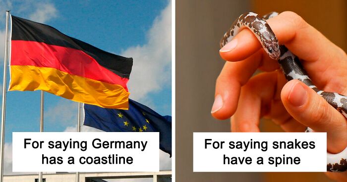 30 “Why Are You Booing At Me? I’m Right!” Moments That People In This ...