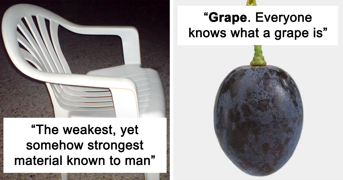 Folks Online Are Chuckling At These 30 Ridiculous “Edits” Of Wikipedia ...