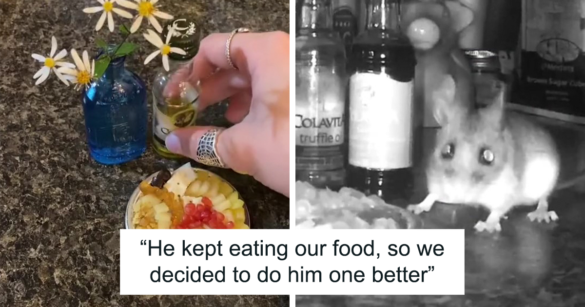Woman Makes Gourmet Meals For A Mouse That Lives In Her Wall, Goes ...