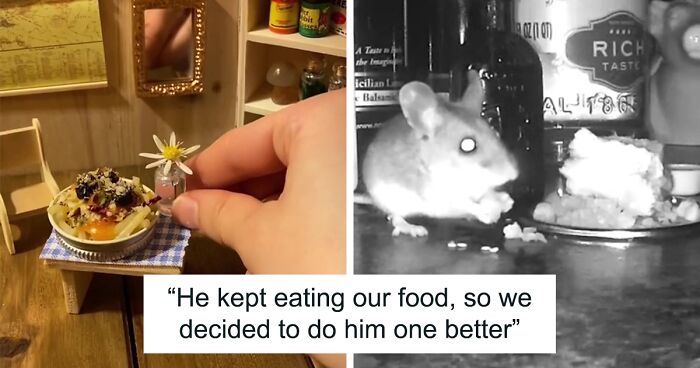 Woman Makes Gourmet Meals For A Mouse That Lives In Her Wall, Goes ...