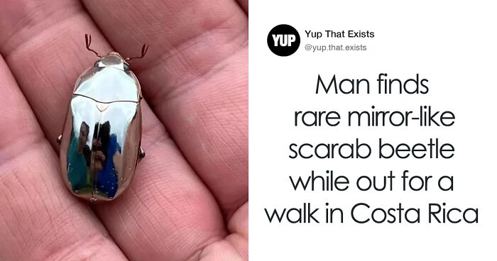 30 Things You Probably Never Knew Existed Shared By “Yup That Exists ...