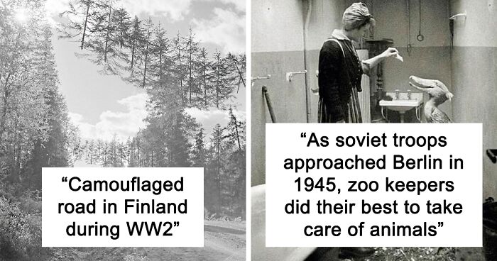 50 Historical Pictures That Might Teach You Something New About Our ...