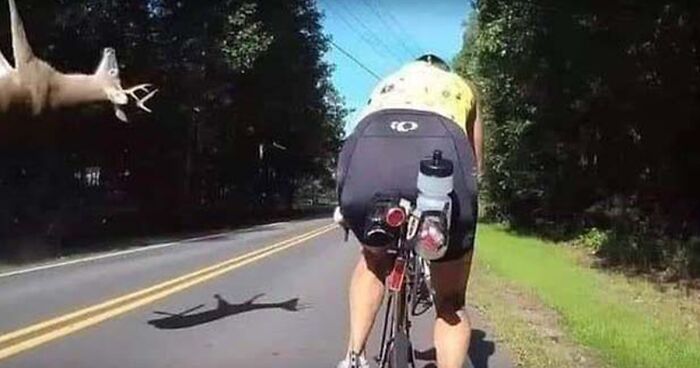 Apparently, There’s A Dedicated Twitter Page Called “Cursed Images” And ...