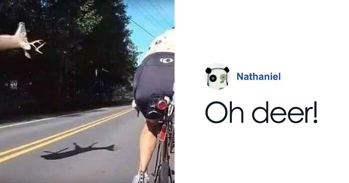 Apparently, There’s A Dedicated Twitter Page Called “Cursed Images” And ...