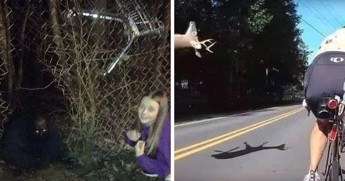 Apparently, There’s A Dedicated Twitter Page Called “Cursed Images” And ...